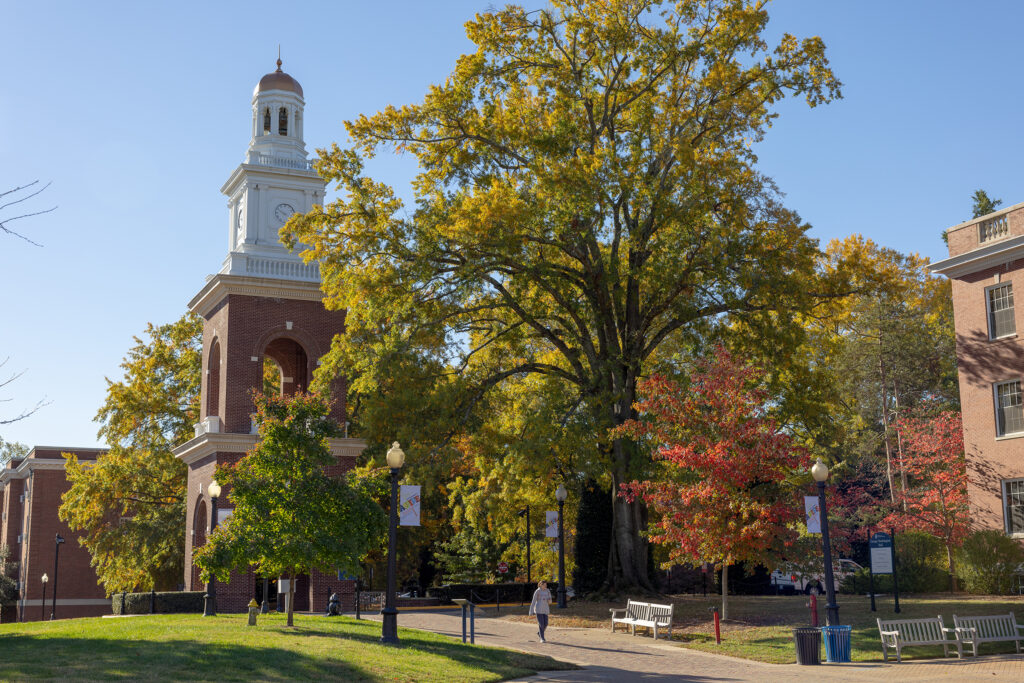 Gift Planning Connections newsletter, Fall 2024 - Giving to Mary Washington